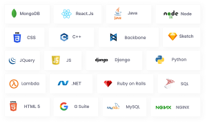 Hire Best Remote Developer | Build Teams in 24 Hours | Gaper.io